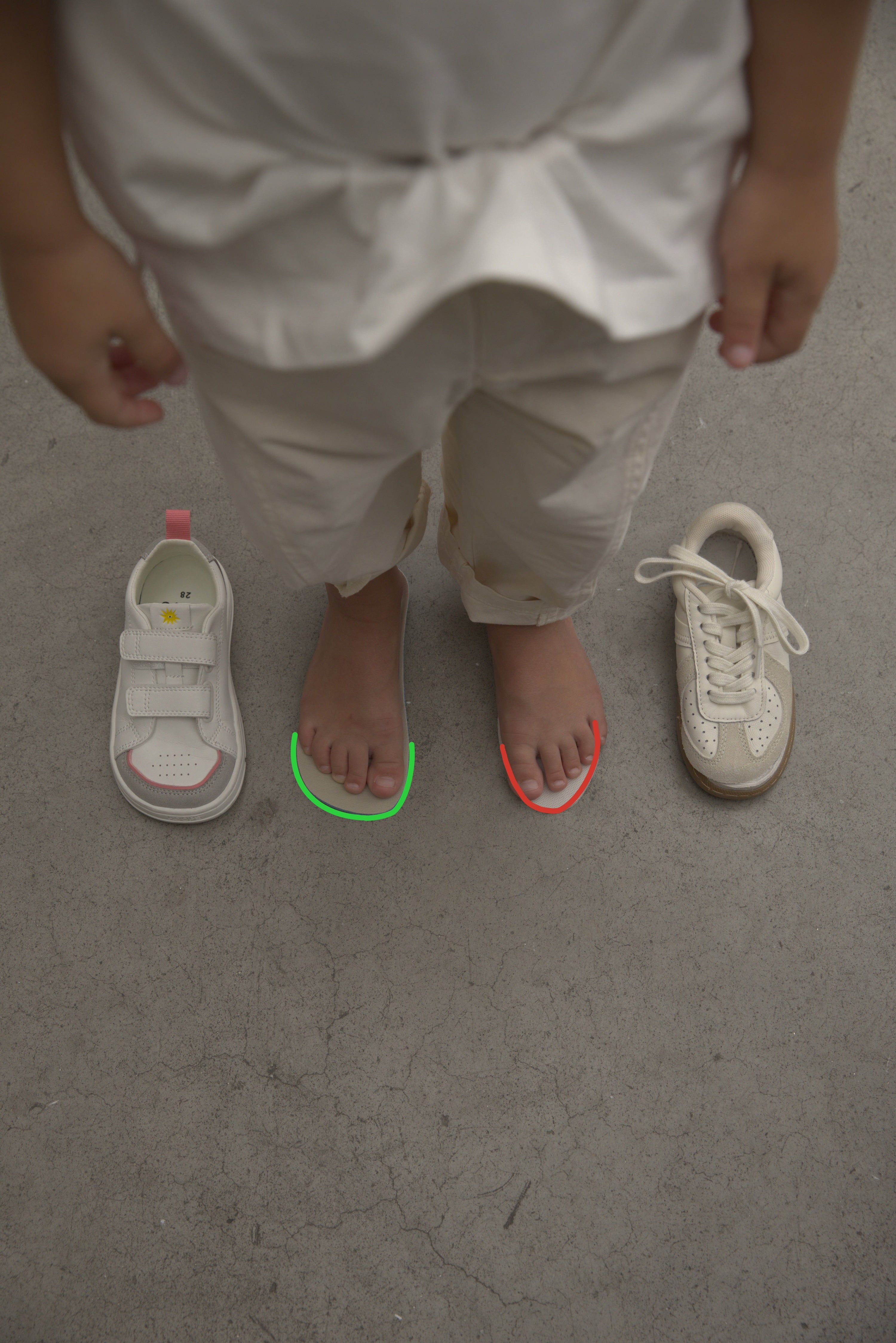 Collections – KOOPS